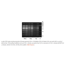 M0284S, Multiplex PCR 5X Master Mix - 100 reactions
